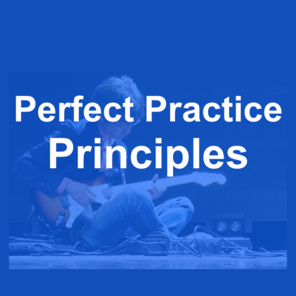 PERFECT PRACTICE PRINCIPLES