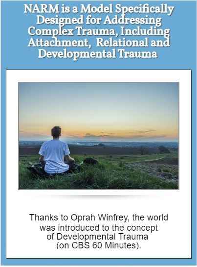 NARM Practitioner Training Intro - Chicago