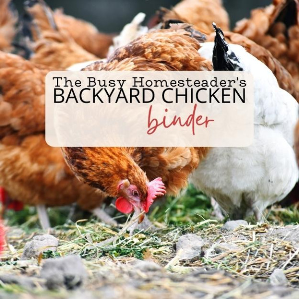 Busy Homesteaders Chicken Binder