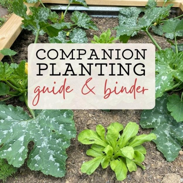 Companion Planting Guide and Binder